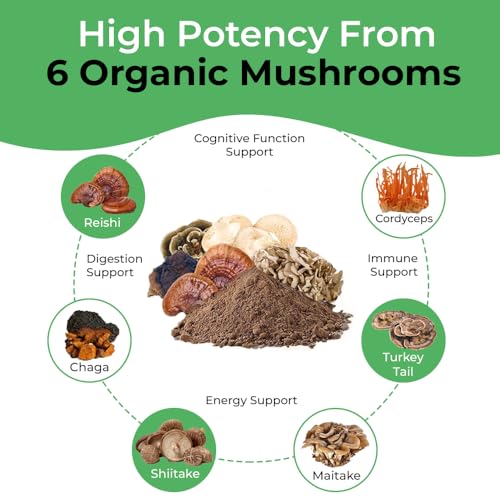 cordyceps mushrooms for energy