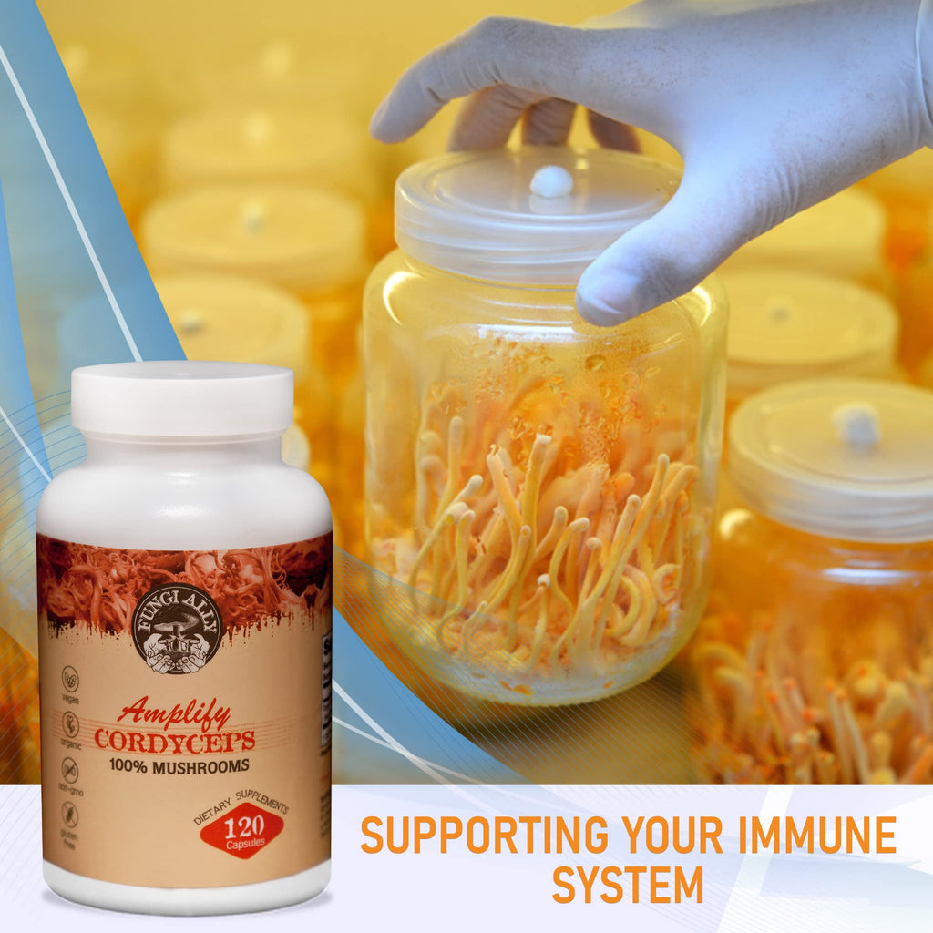 cordyceps mushrooms for enhanced endurance