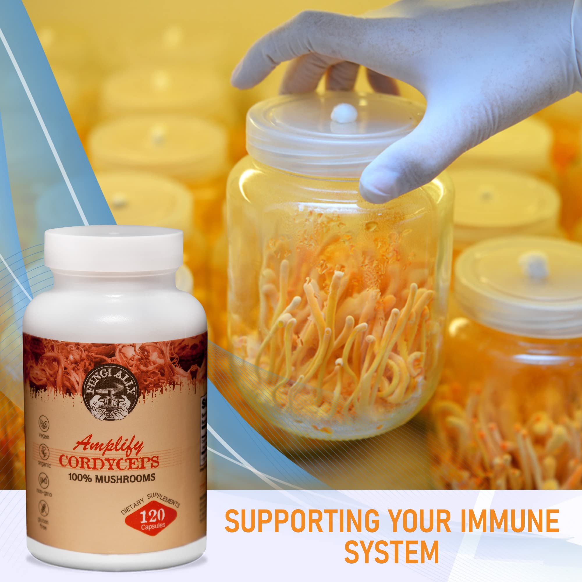 cordyceps mushrooms for enhanced endurance