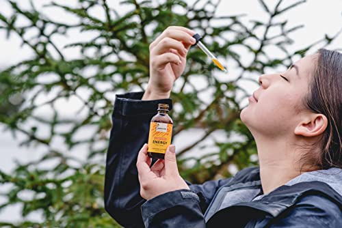 cordyceps mushrooms for improved focus