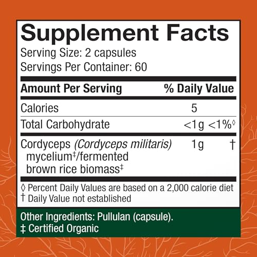 Cordyceps mushrooms for kidney health