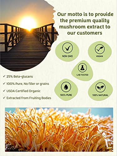cordyceps mushrooms for mental clarity