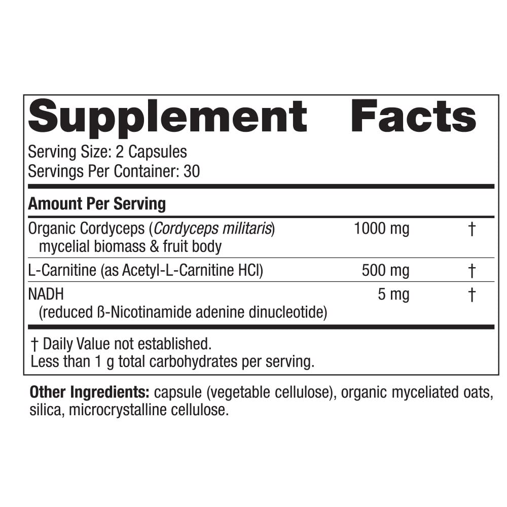 Cordyceps mushrooms for natural energy