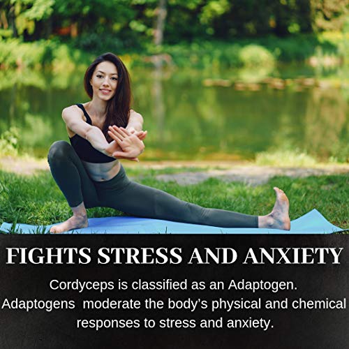 Cordyceps mushrooms for overall wellness
