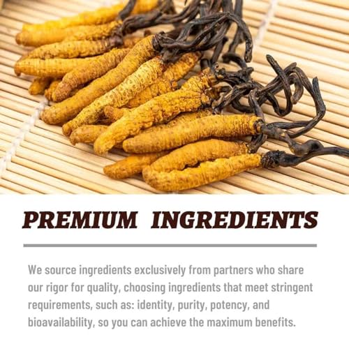 Cordyceps mushrooms for vitality boost