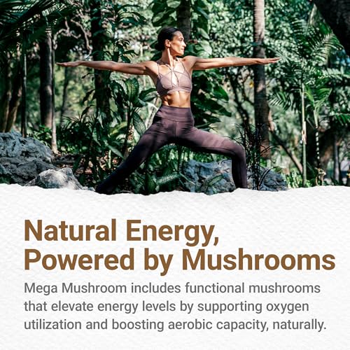 Cordyceps mushrooms for vitality