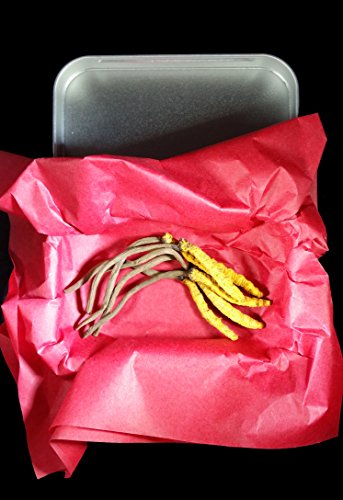 cordyceps mushrooms for vitality