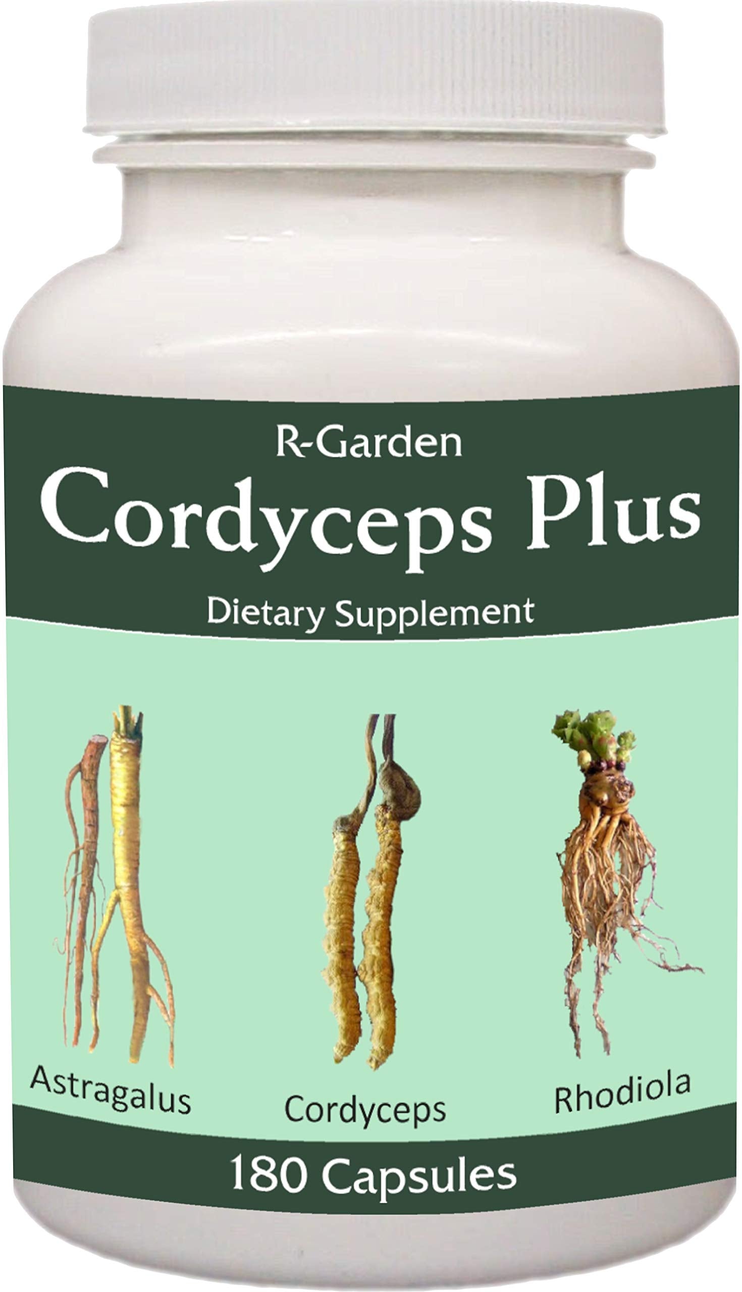 Cordyceps Plus energy boosting mushrooms