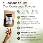 cordyceps powder for athletic performance