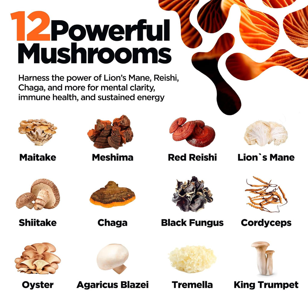 Cordyceps powder for energy boost