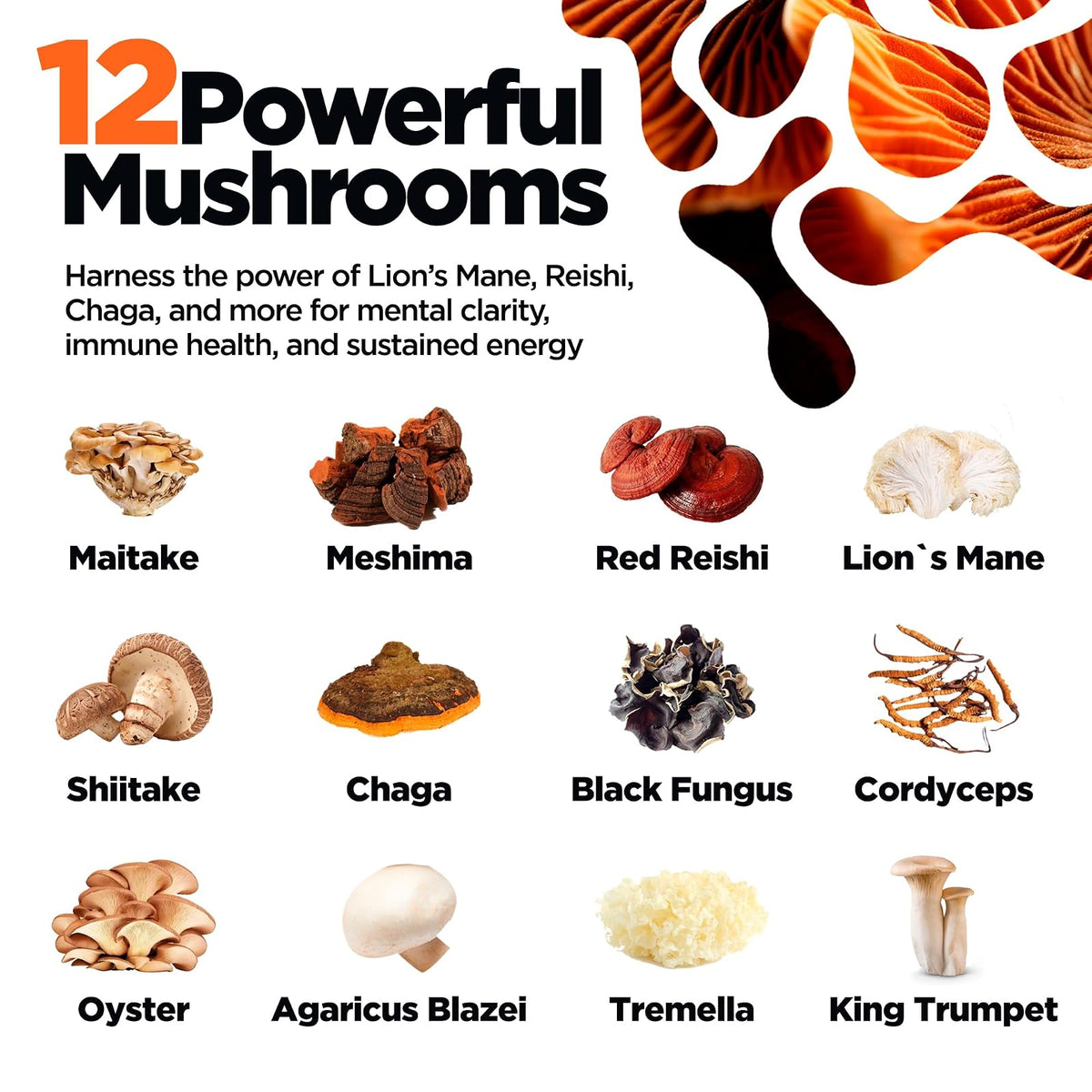 Cordyceps powder for energy boost