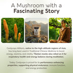 cordyceps powder for enhanced endurance
