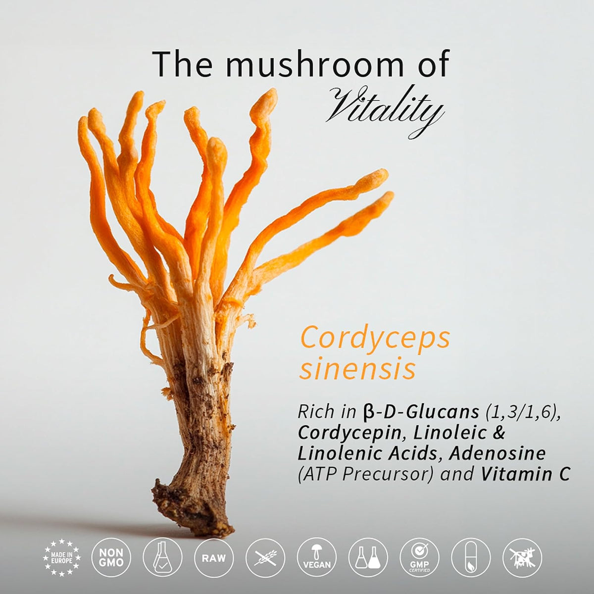 Cordyceps powder for enhanced performance