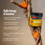 cordyceps powder for immune support