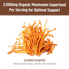 cordyceps powder for immune support