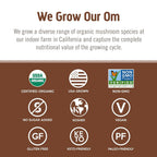 cordyceps powder for mental clarity