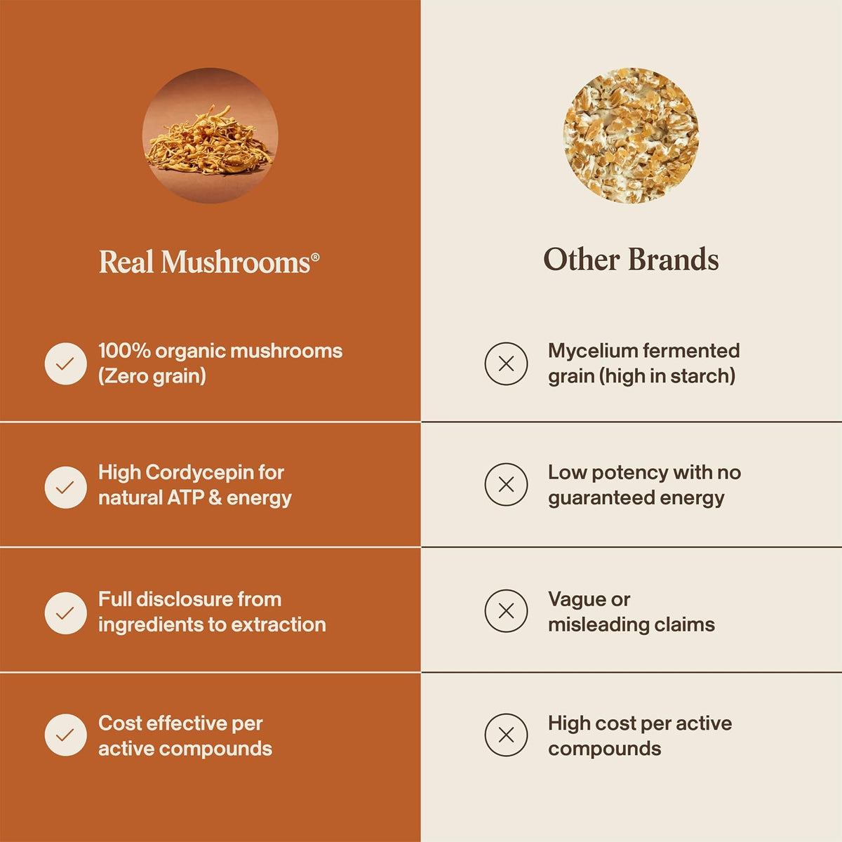 cordyceps powder for stress relief