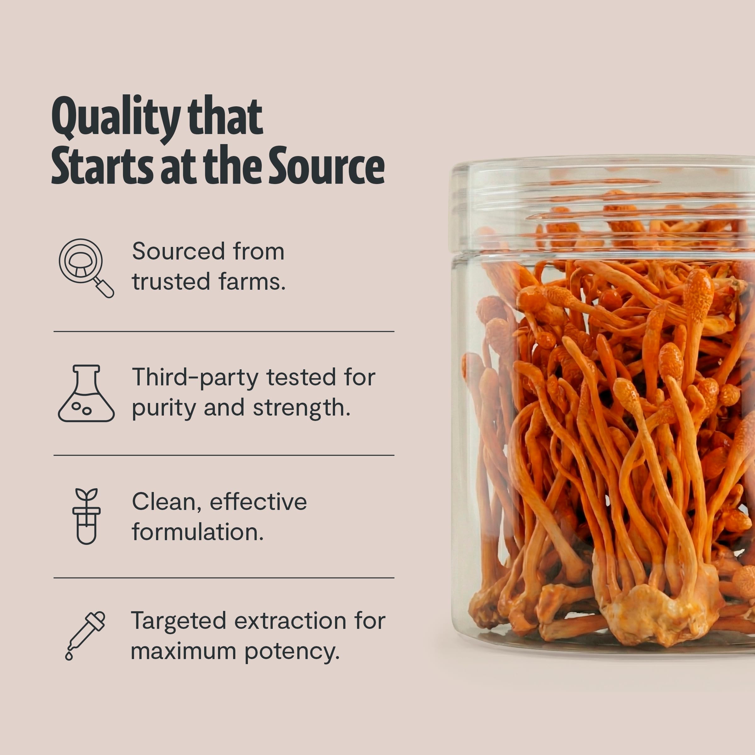 cordyceps powder for workout recovery