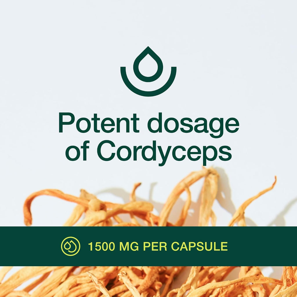 cordyceps sinensis for stress relief