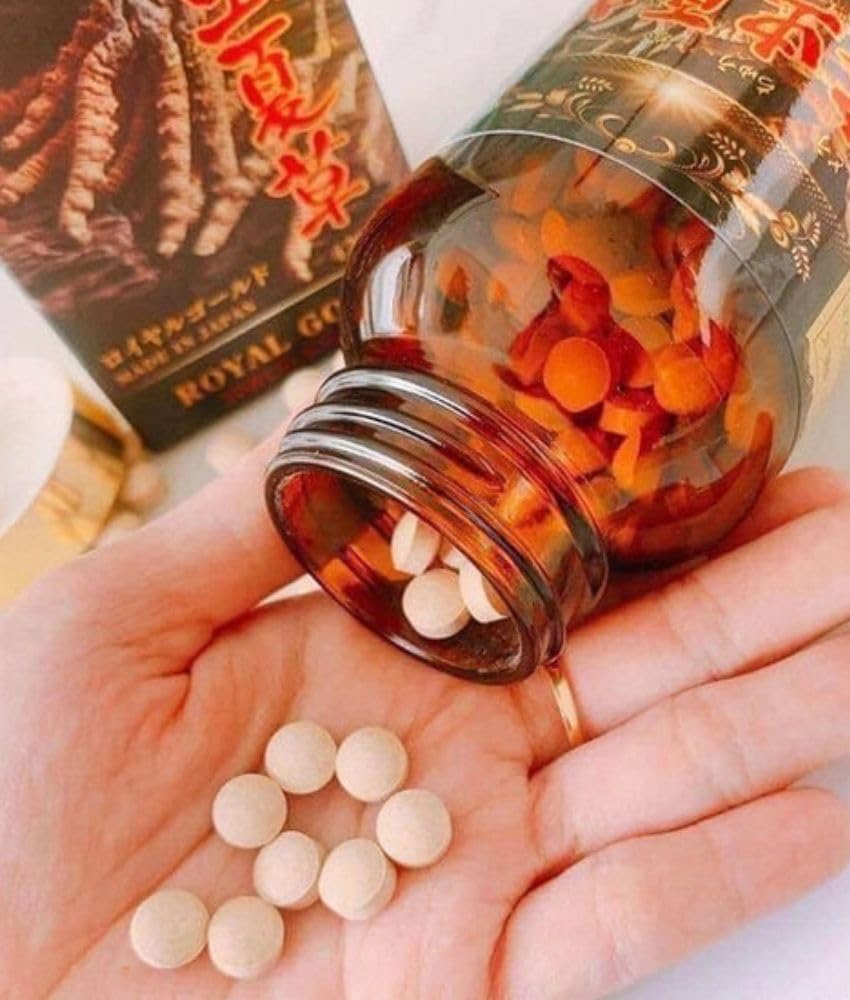 Cordyceps Sinensis immune support