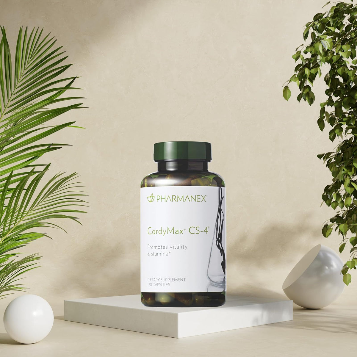 CordyMax Cs-4 for overall wellness