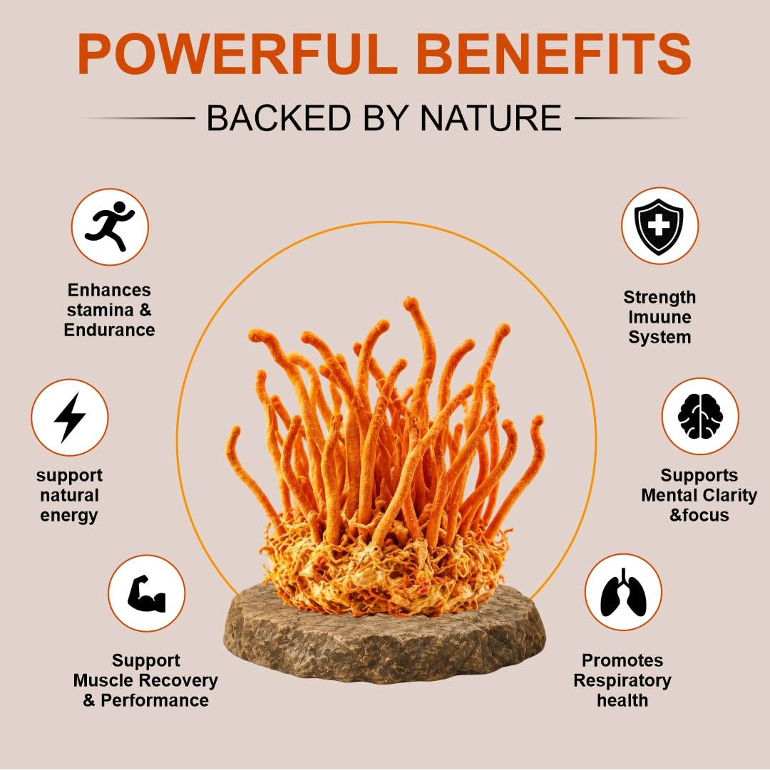 Coretribe mushroom extract for vitality