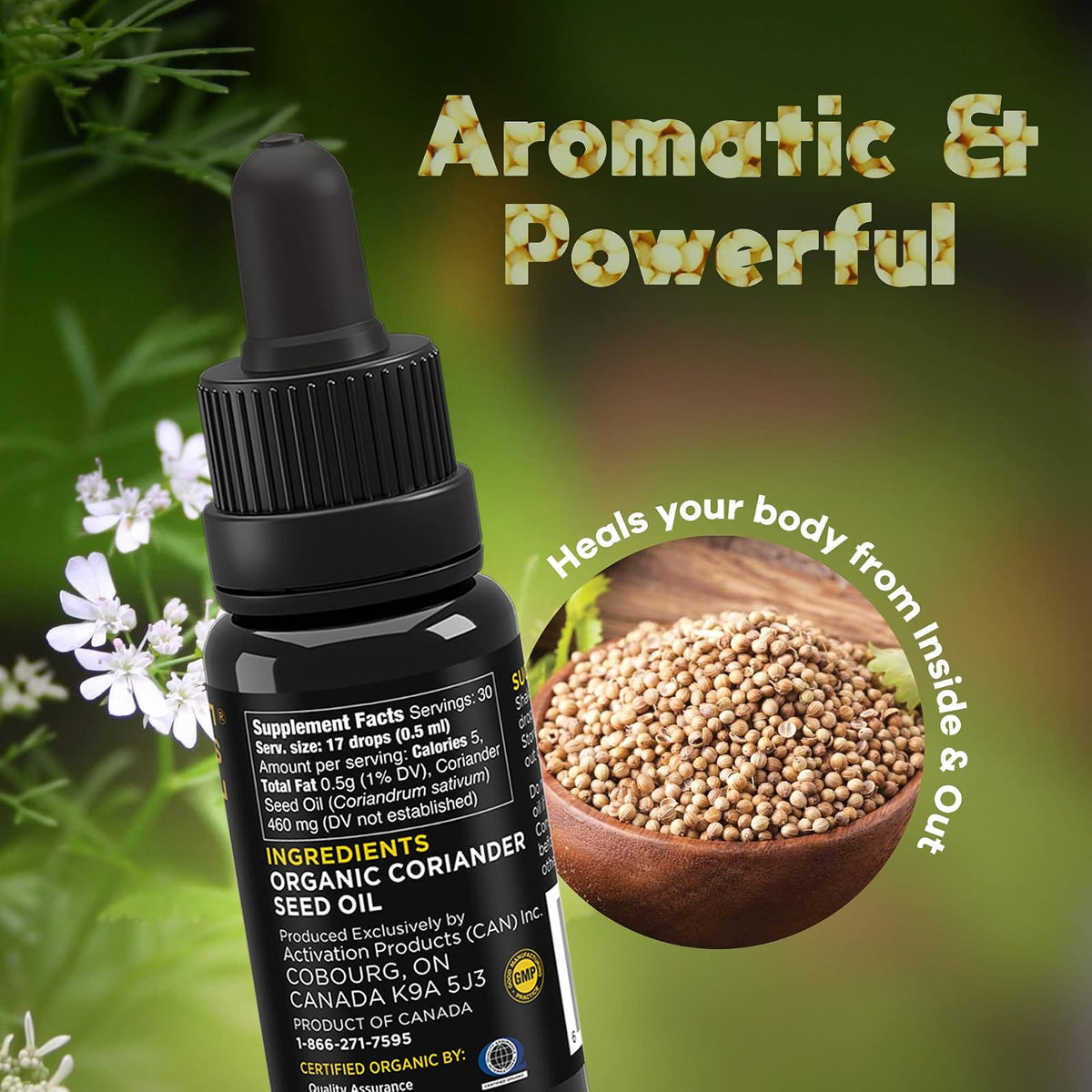 coriander seed oil for digestive health