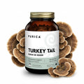 Coriolus Yunzhi Mushroom health benefits