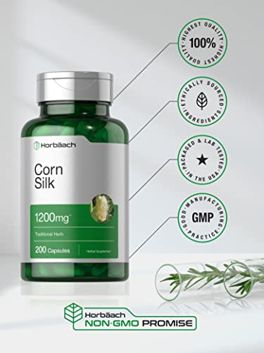 Corn silk extract for urinary health