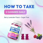 cortisol gummies to boost energy levels