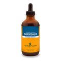 Corydalis liquid extract for wellness