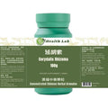 Corydalis Rhizoma echinacea extract benefits