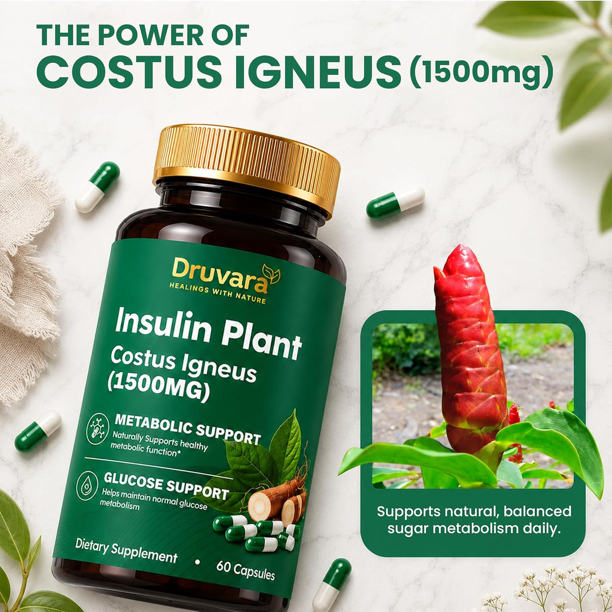Costus Igneus capsules for wellness