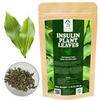 Costus Igneus herbal tea benefits