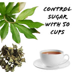 Costus Igneus tea for healthy living