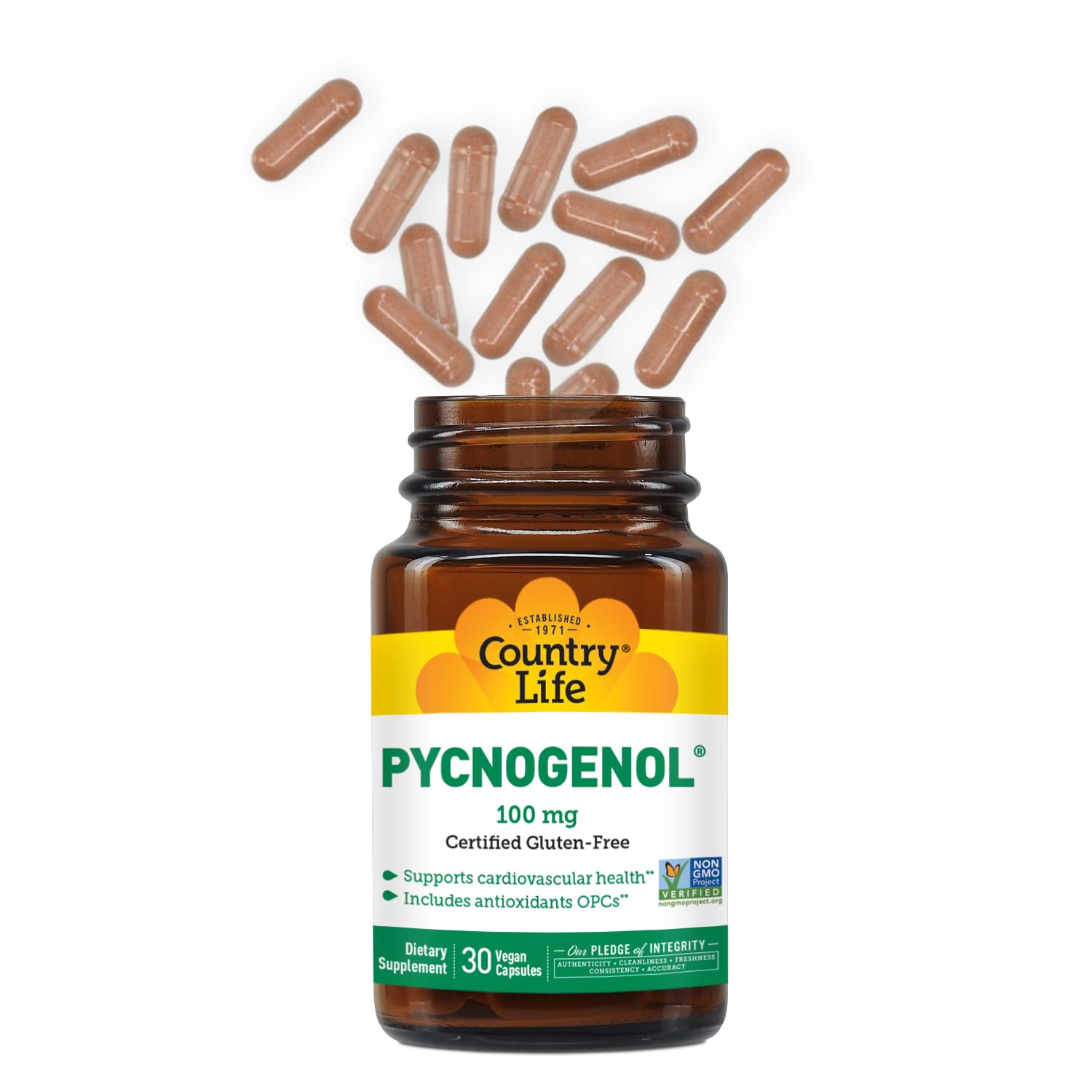 Country Life Pycnogenol 100 mg benefits