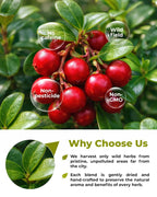 Cowberry tea for immune support