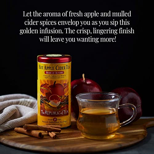 cozy apple cider tea experience