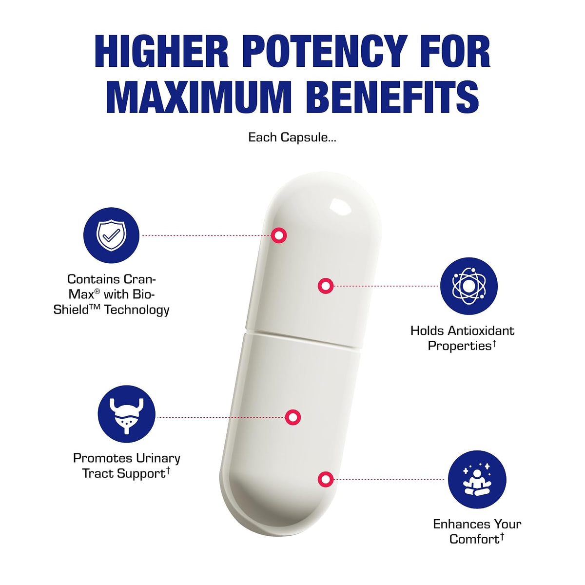 Cran-Max capsules for daily vitality
