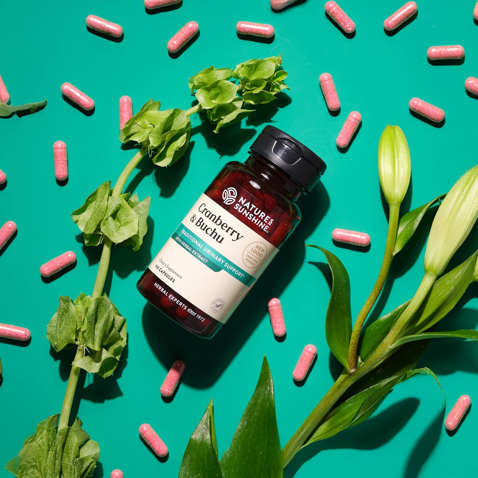 Cranberry and buchu for detox support