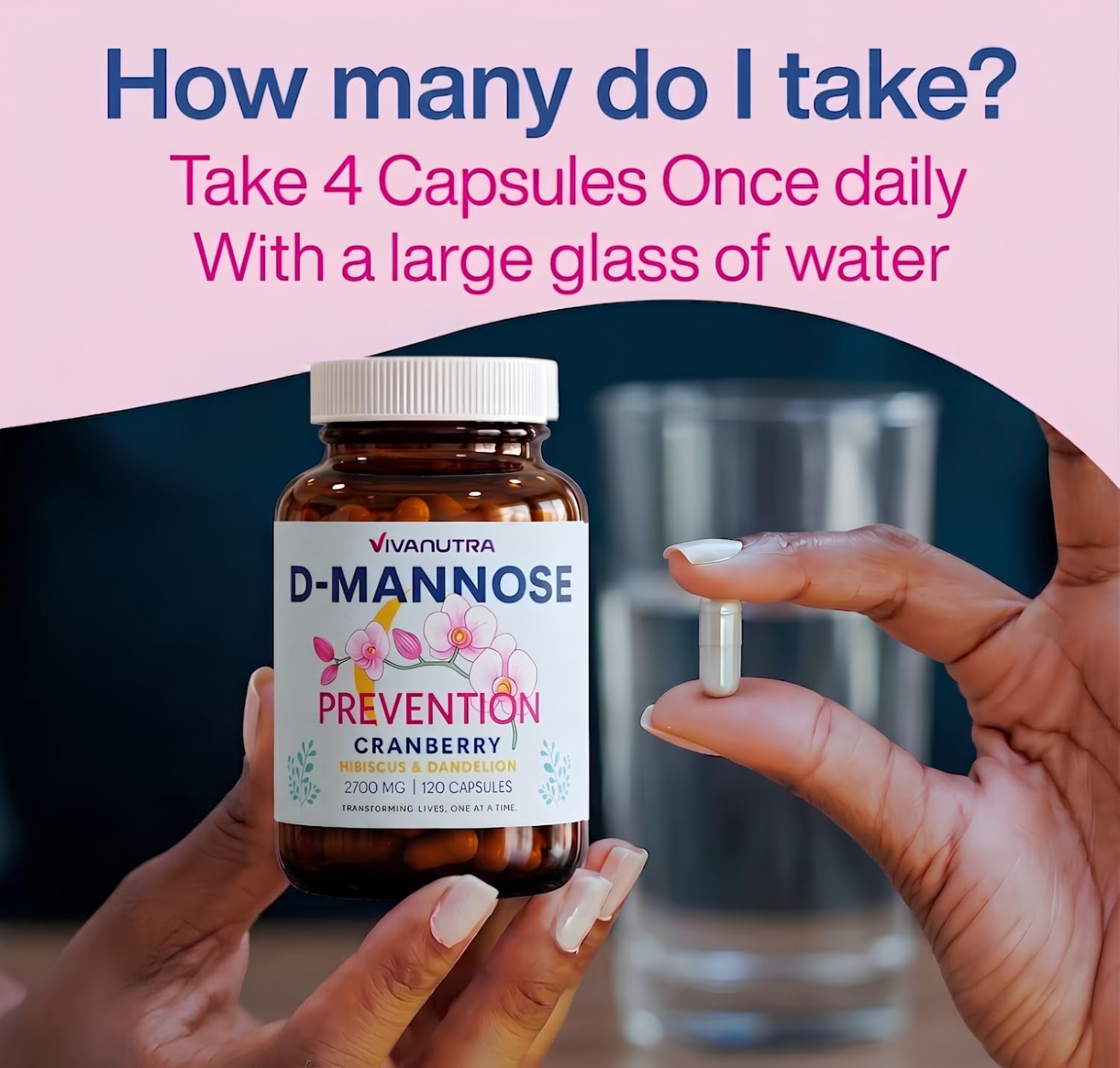Cranberry and hibiscus dietary supplement