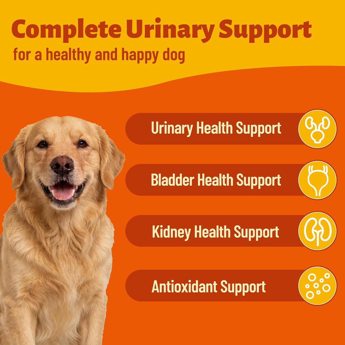 Cranberry bites for healthy bladder