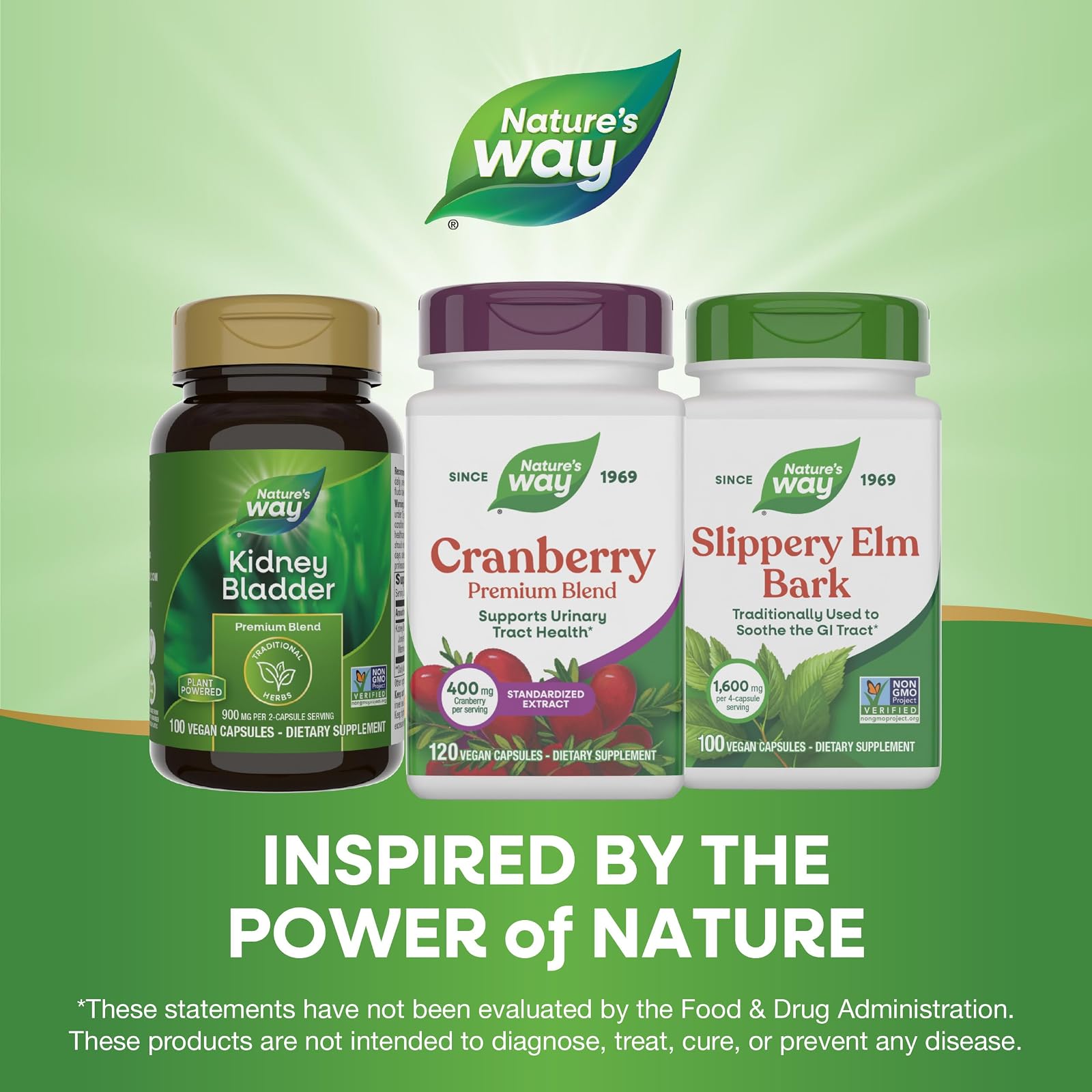 cranberry blend for immune support