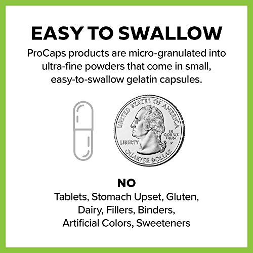 cranberry capsules for wellness