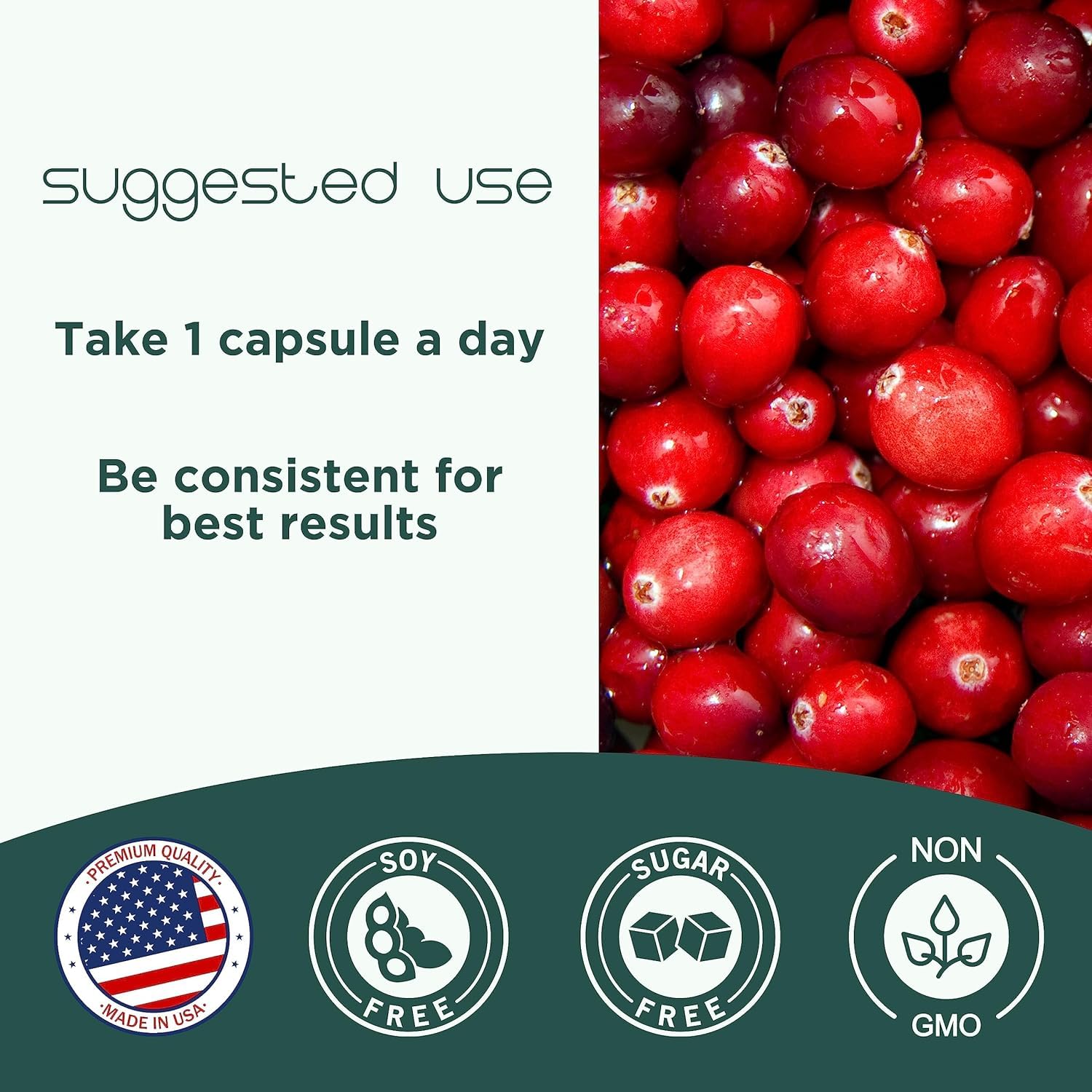 Cranberry capsules with powerful antioxidants