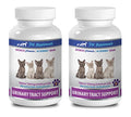 Cranberry chews for cat health