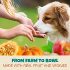 Cranberry chews for pet wellness