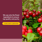 cranberry concentrate for immune support