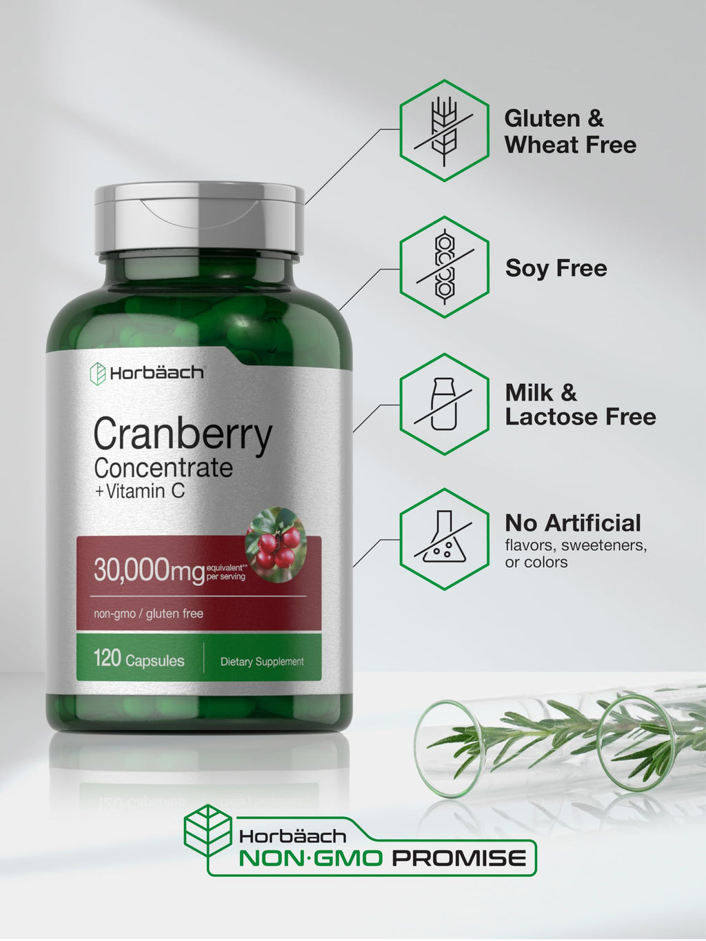 cranberry concentrate for immune support