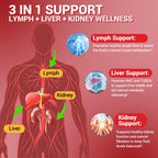 cranberry detox liquid supplement